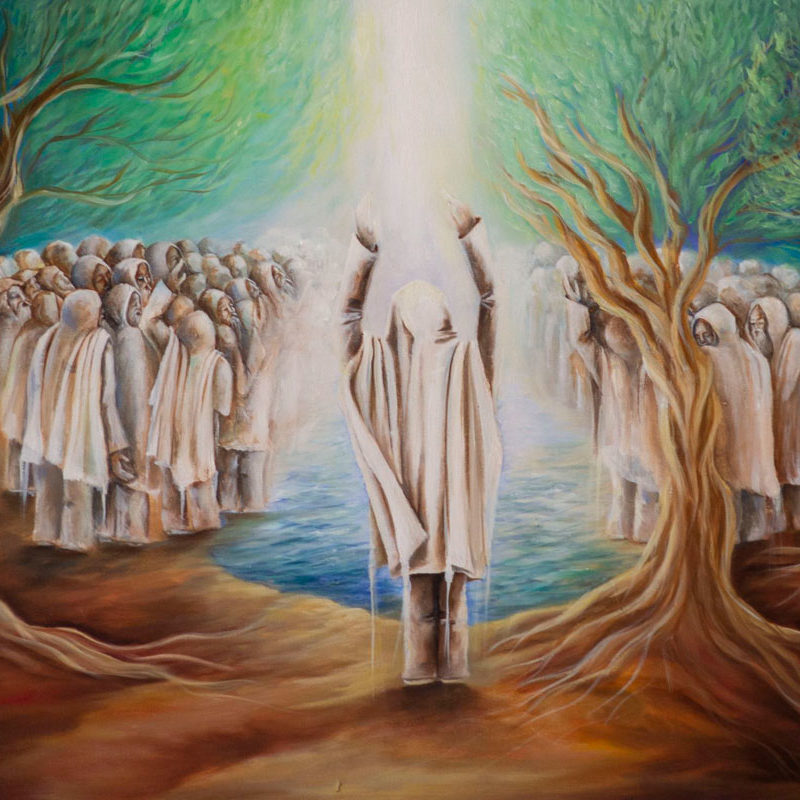 דוד | Simcha Art